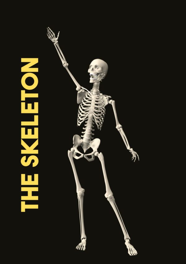 The Skeleton System Masterclass - smoothenglishcompany