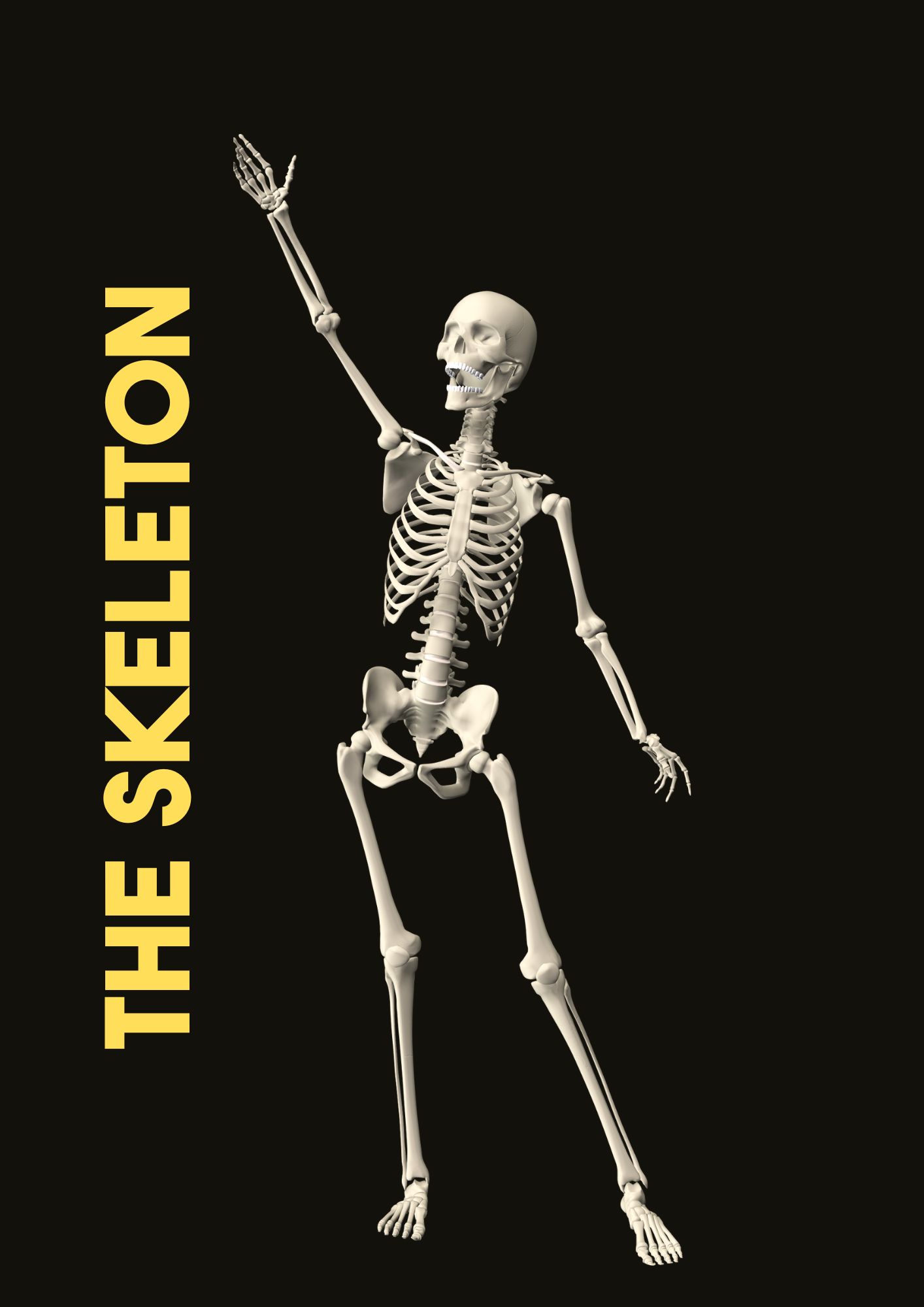 Email Sign Up Skeleton - smoothenglishcompany